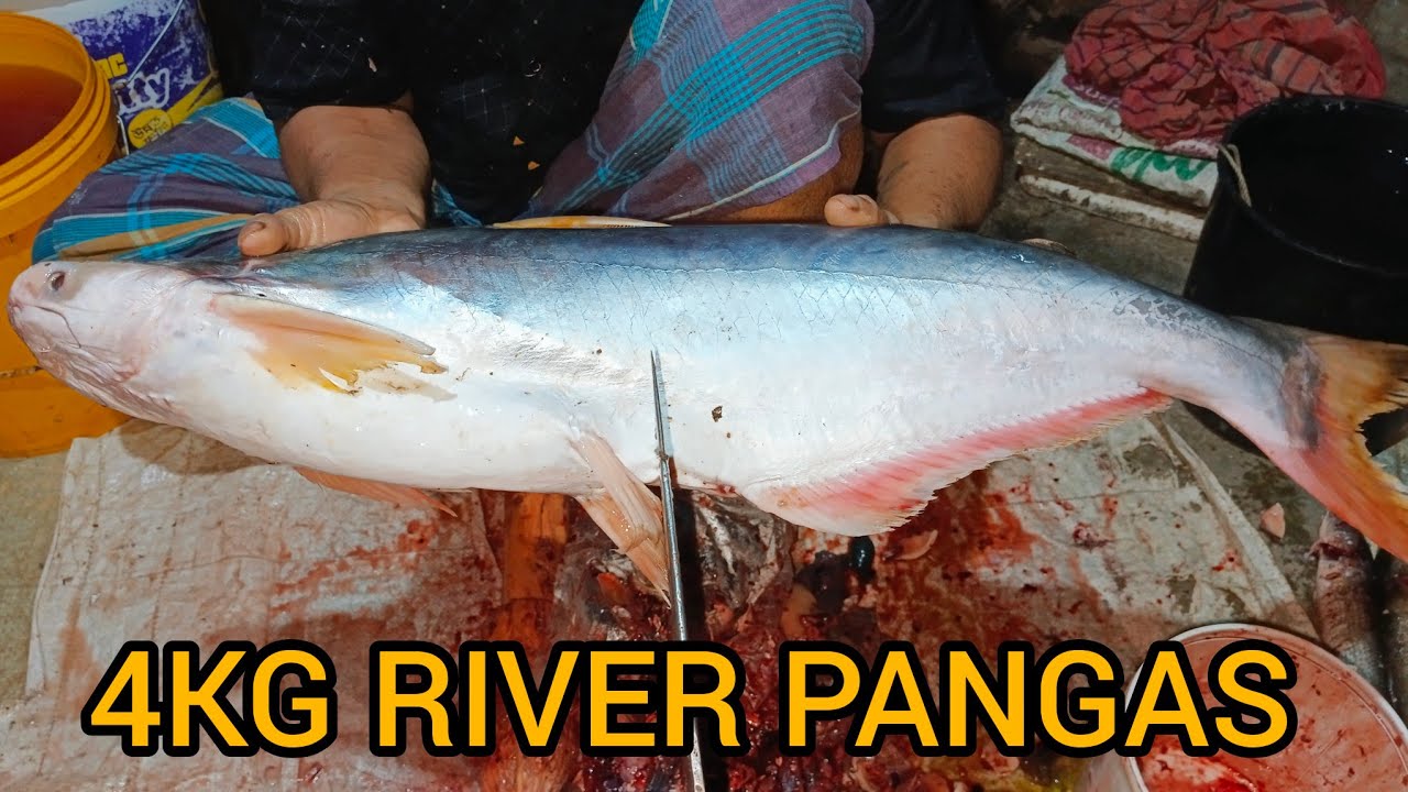 AMAZING FASTEST 4KG_RIVER PANGAS FISH CUTTING SKILLS_BY EXPERT FISH ...
