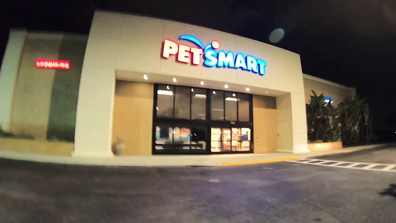 Visit pet smart, 参观美国宠物店 - YouTube