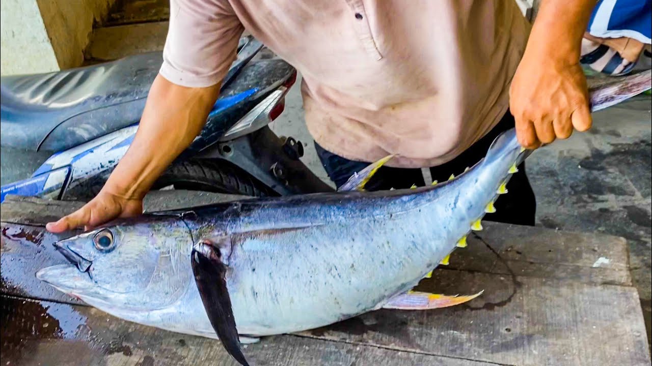 21 KG TUNA FISH CUTTING & FILLET BONELESS IN FISH MARKET || SELECTION ...