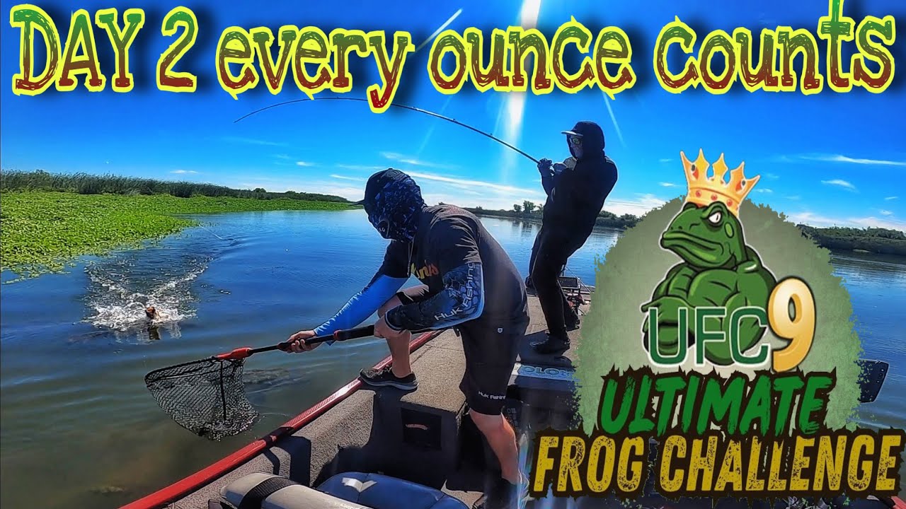 DAY 2 Ultimate frog challenge where every ounce counted California ...