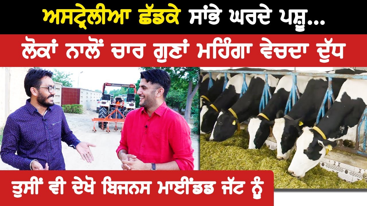 ਅਸਟ੍ਰੇਲੀਆ ਛੱਡਕੇ ਸਾਂਭੇ ਘਰਦੇ ਪਸ਼ੂ, ਲੋਕਾਂ ਨਾਲੋਂ ਚਾਰ ਗੁਣਾਂ ਮਹਿੰਗਾ ਵੇਚਦਾ ...