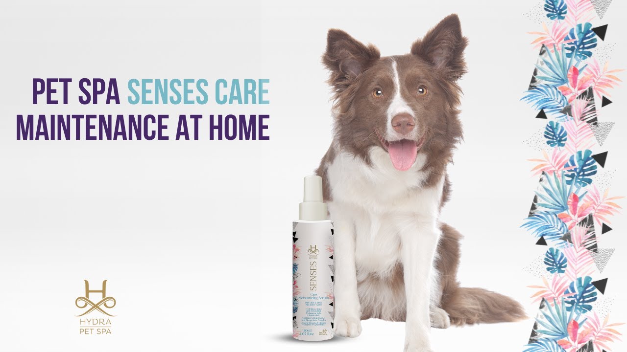 Hydra - Step by Step: Pet Spa Care Serenity Maintenance at Home - YouTube