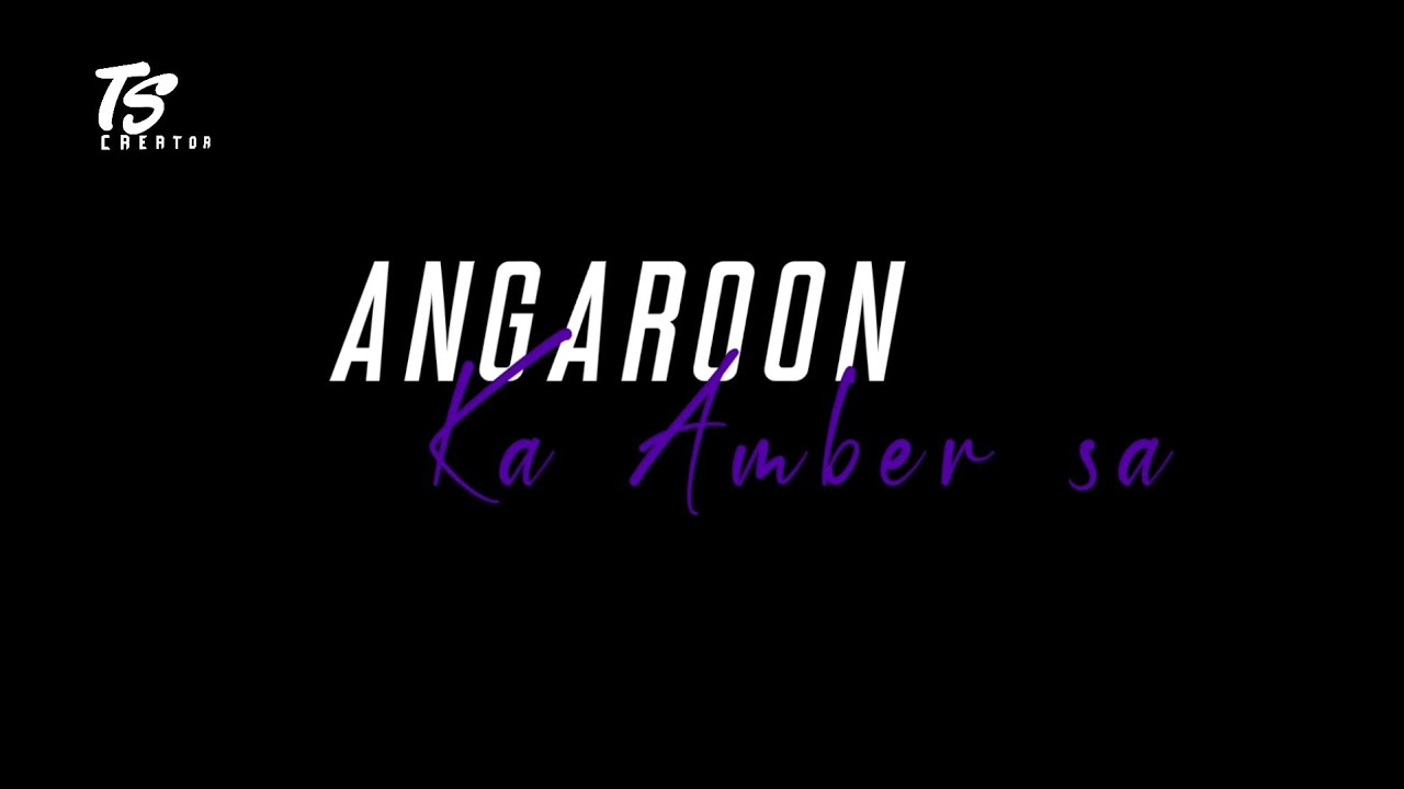 Angaaron ( The Couple Song )Angaaron Aa Status Pushpa 2 The Rule ! Allu ...