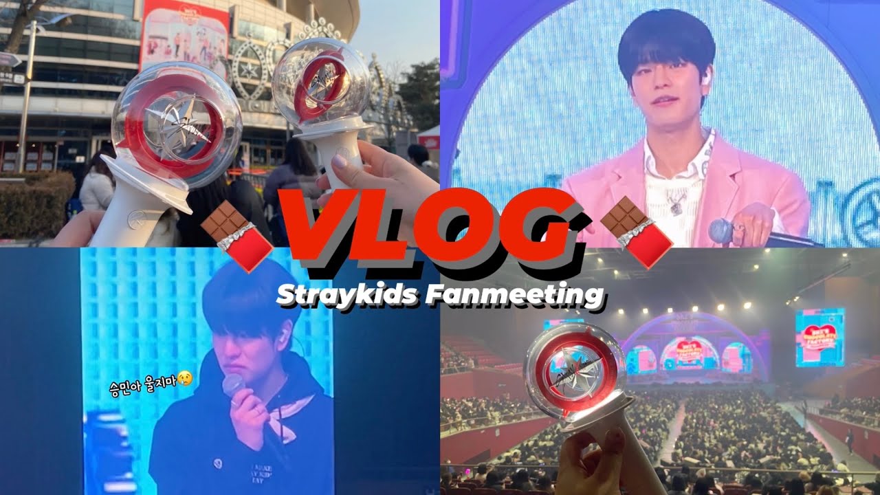 스테이 브이로그 진짜 오랜만에 오프를 뛰고 온 아기테이 스트레이키즈 팬미팅 갔다옴 팬미를 4시간하네 첫