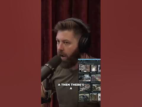 Joe Rogan about the biggest python ever #joerogan #podcast - YouTube