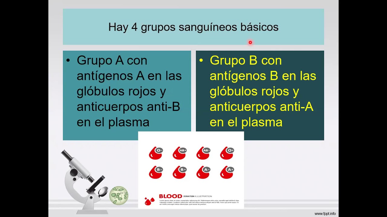 grupo y rh - YouTube