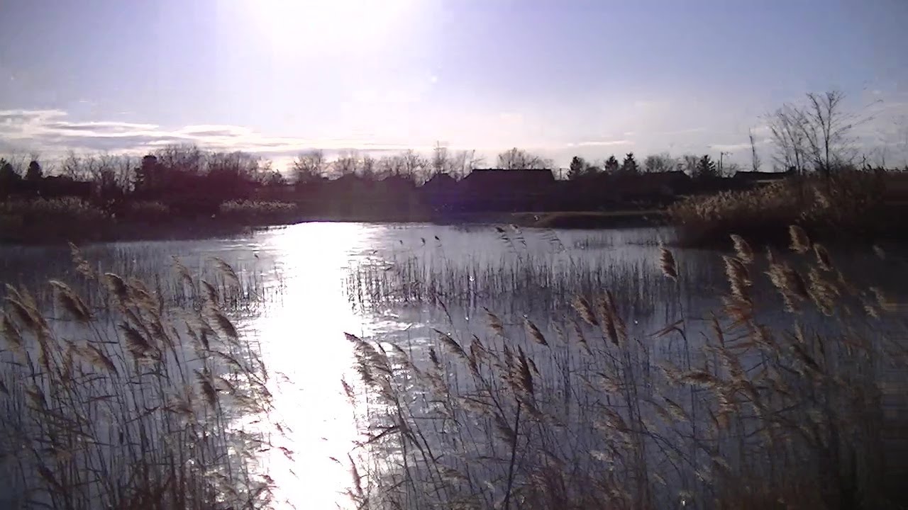 Ribnjak Jamura Banatsko Karadjordjevo 4K HC-VX1 - YouTube