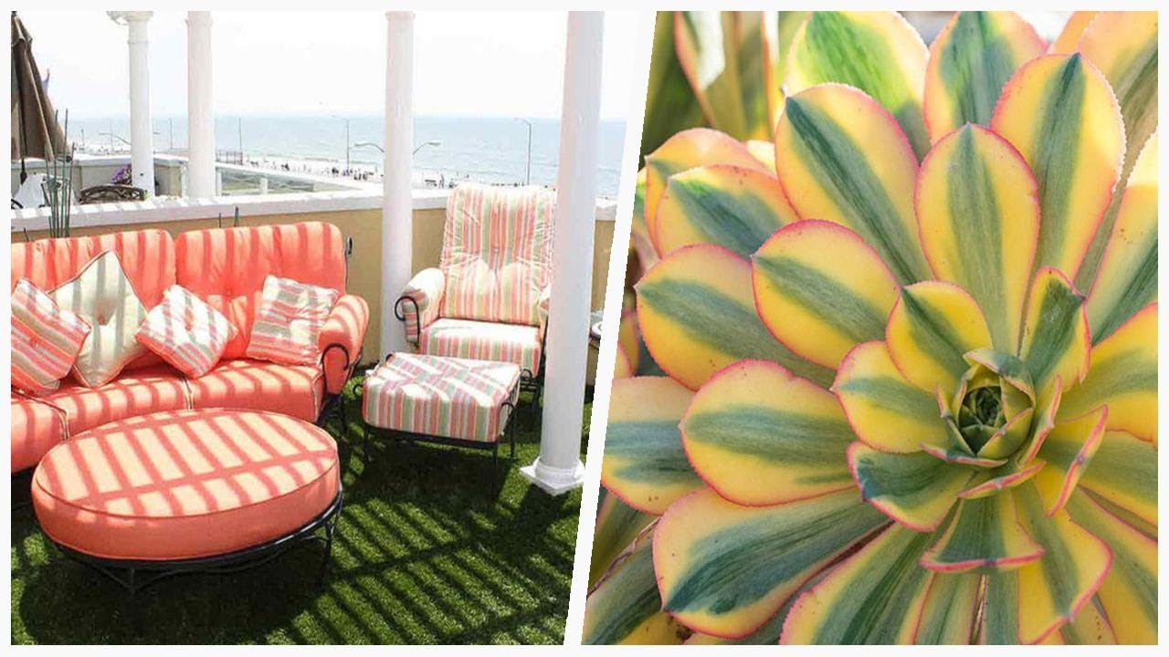 75 Coastal Orange Landscaping Design Ideas You'll Love ♡ - YouTube