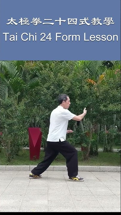 Yang Style Tai Chi Chuan 24 Form Postures 1-3 - YouTube