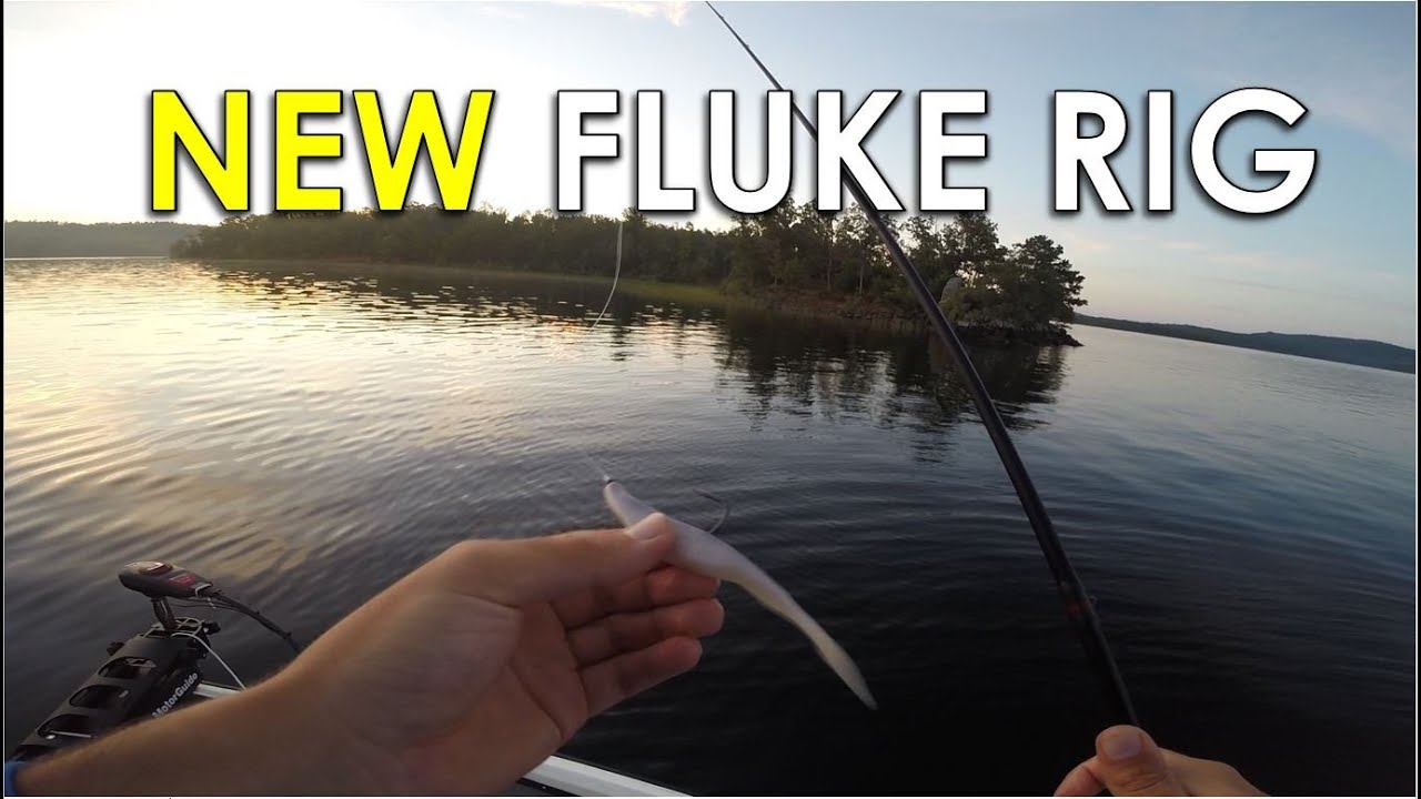 Where to Find Schooling Bass + New Fluke Rig From Forrest Wood Cup ...