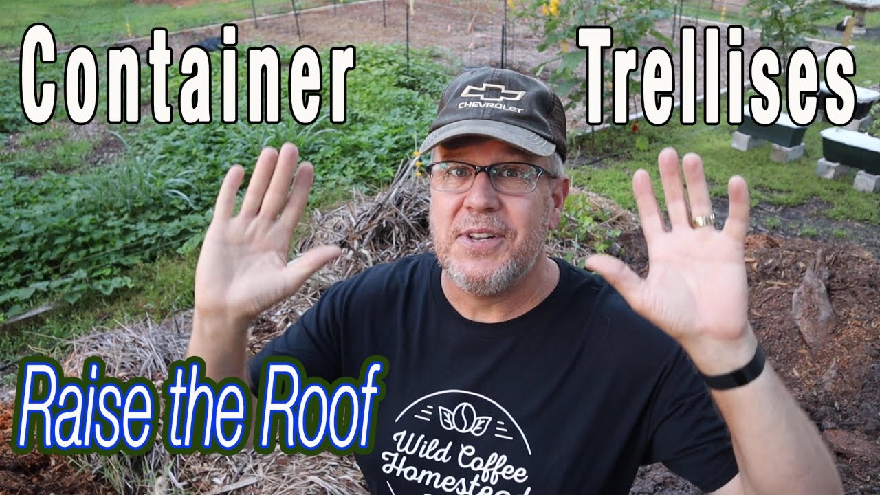 How to Build Trellises for Container Garden - YouTube