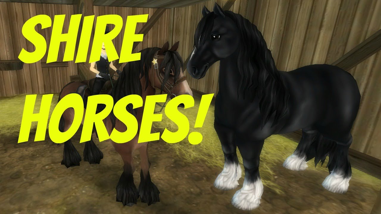 Star Stable - NEW SHIRES! - YouTube