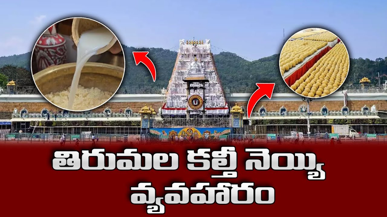 Tirumala Kalthi Neyyi Vivadam Lo || AP23 NEWS || Tirumala Tirupathi ...