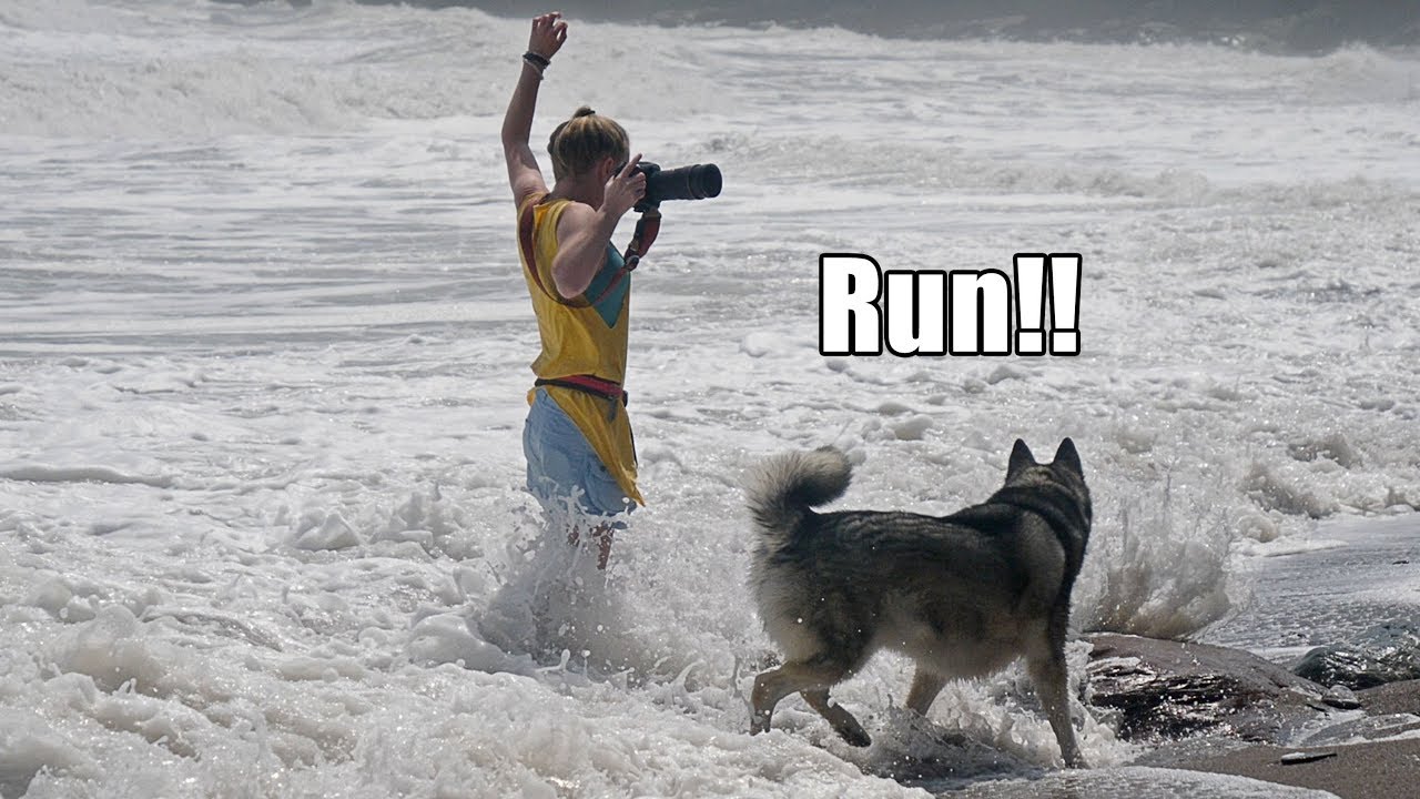 Caught Out By Waves! And Key Still Can't Catch A Ball! - YouTube