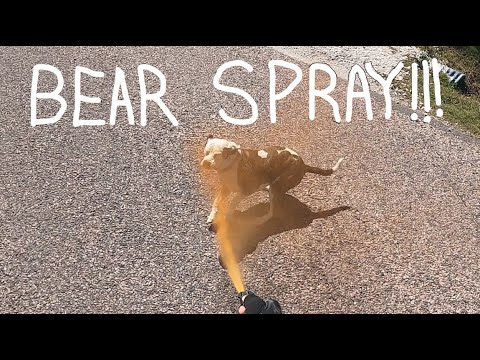 Dog Attacks BIG TEX/Amputee Cyclist Aaron Smith/BEAR/Pepper SPRAY/Mace/Pimienta/Self Defense