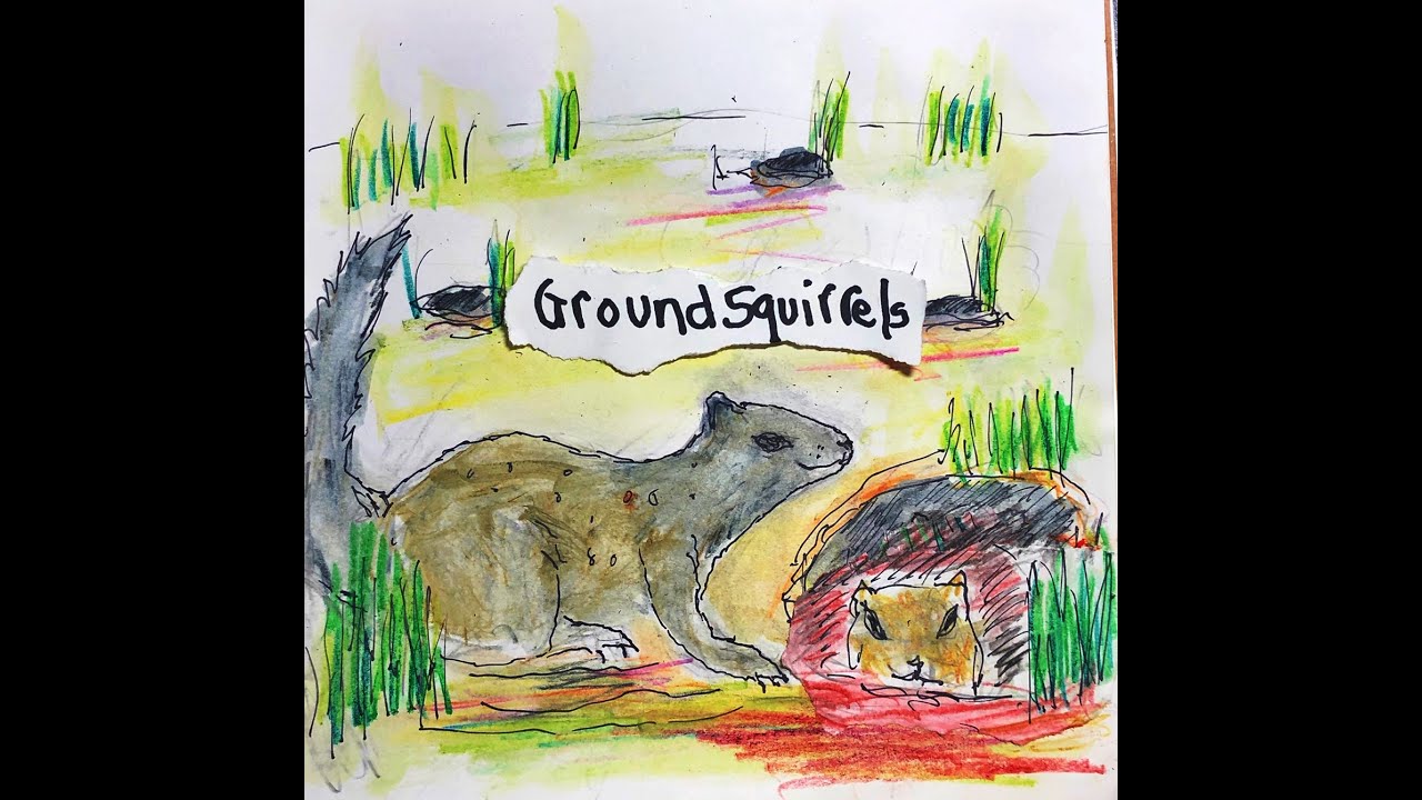 Drawing Ground Squirrels and their Burrows - YouTube