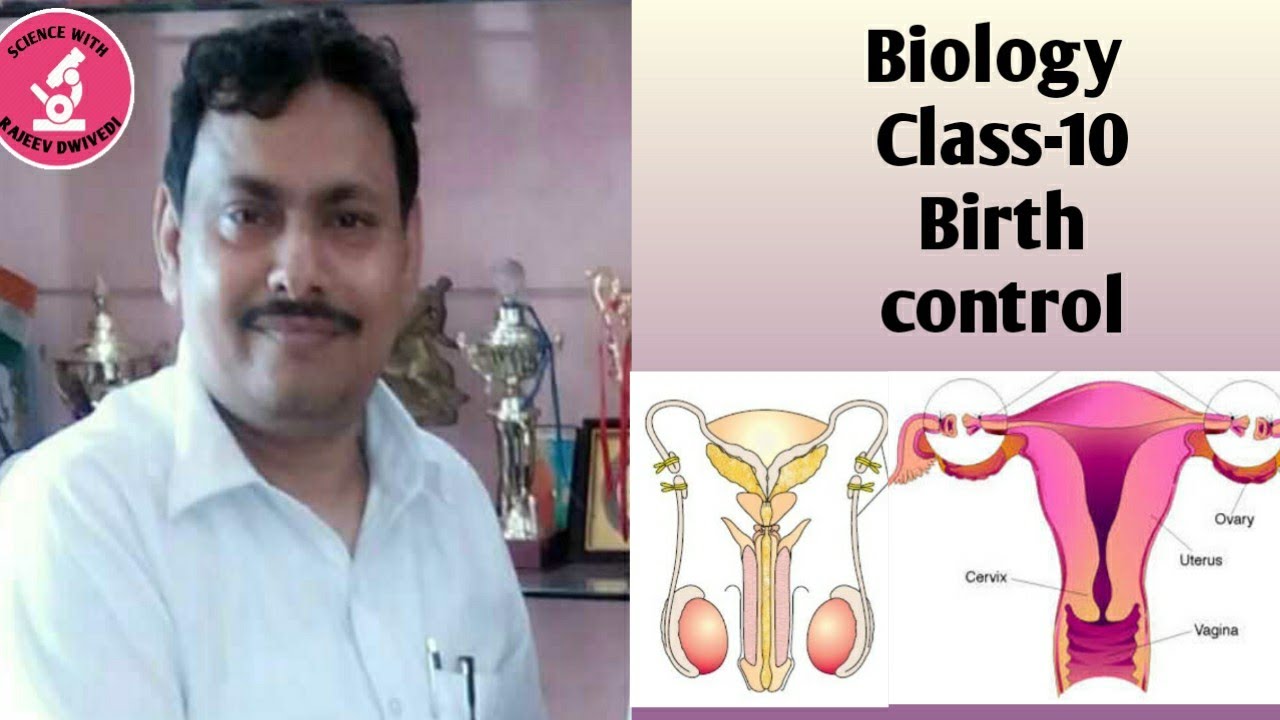 NCERT CLASS 10 BIOLOGY Birth Control YouTube ncert-class-10-biology-birth-control-youtube