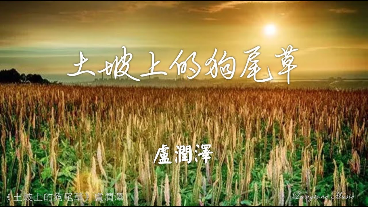 土坡上的狗尾草 Tu po shang de gou yi cao 盧潤澤 Lu Run Ze #動態歌詞 Pinyin/Lyrics ...