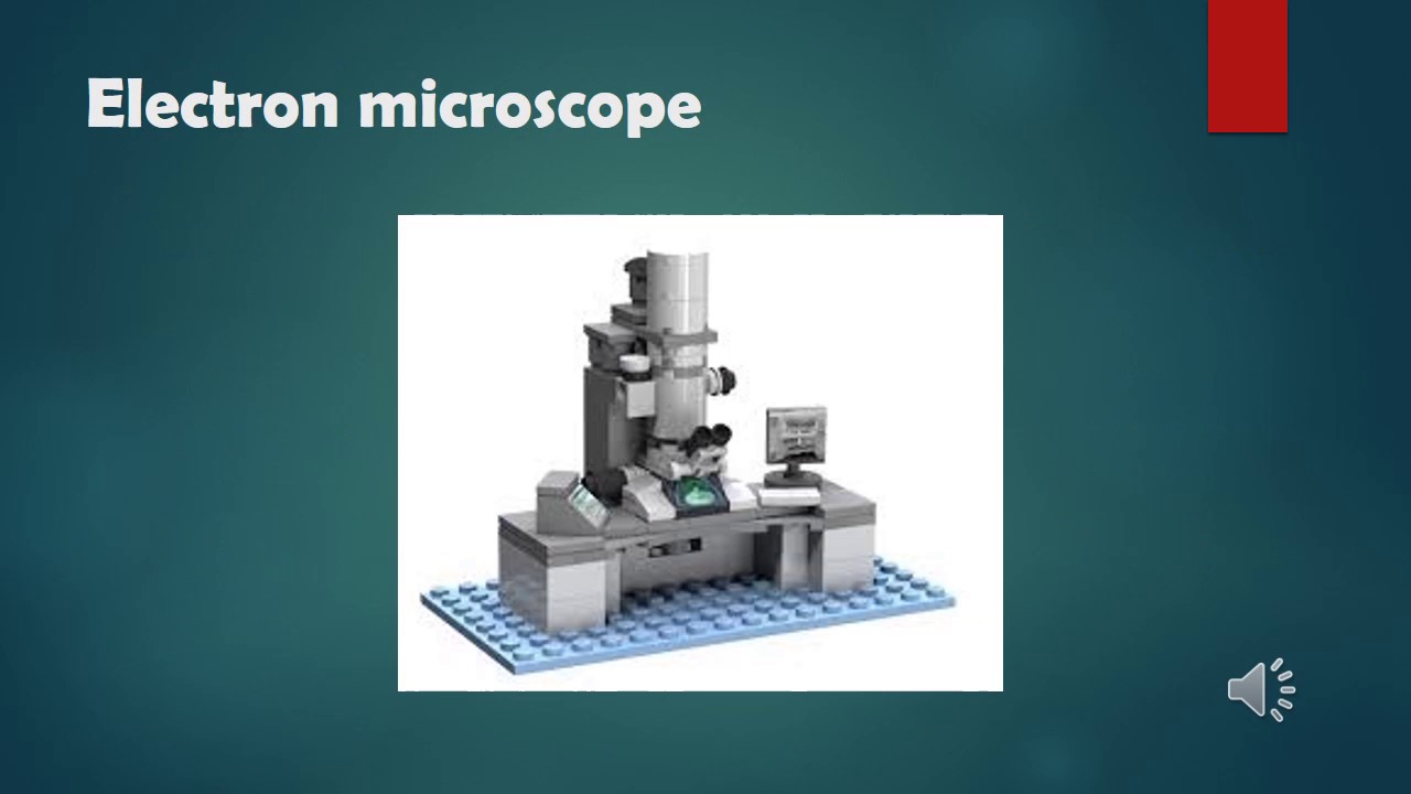 5 Important Types of Microscopes used in Biology - YouTube