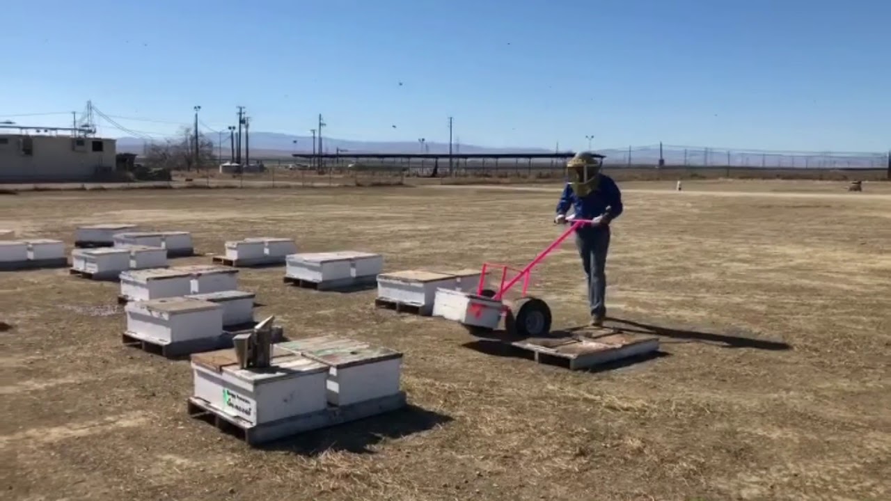 Hive Movers - YouTube