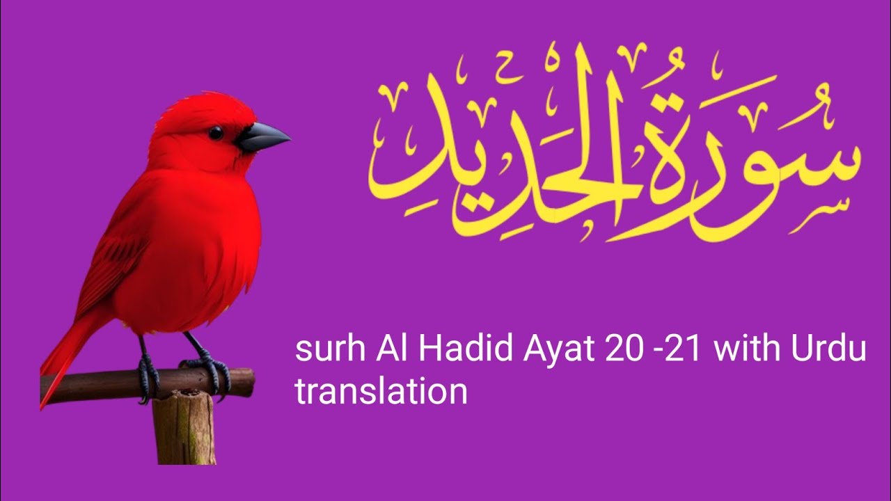Surah Al Hadid 20 21 Quran recitation