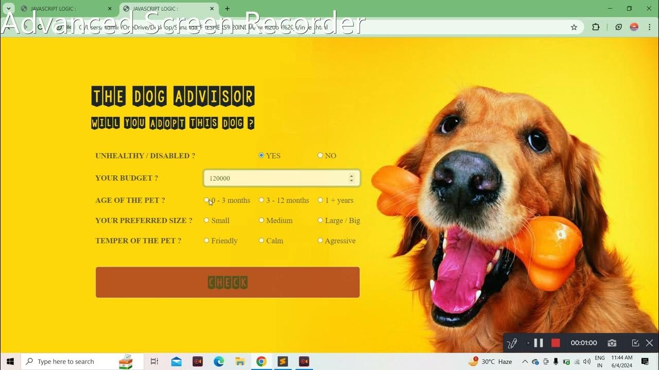 THE DOG ADVISOR using HTML5 , CSS & JS. - YouTube