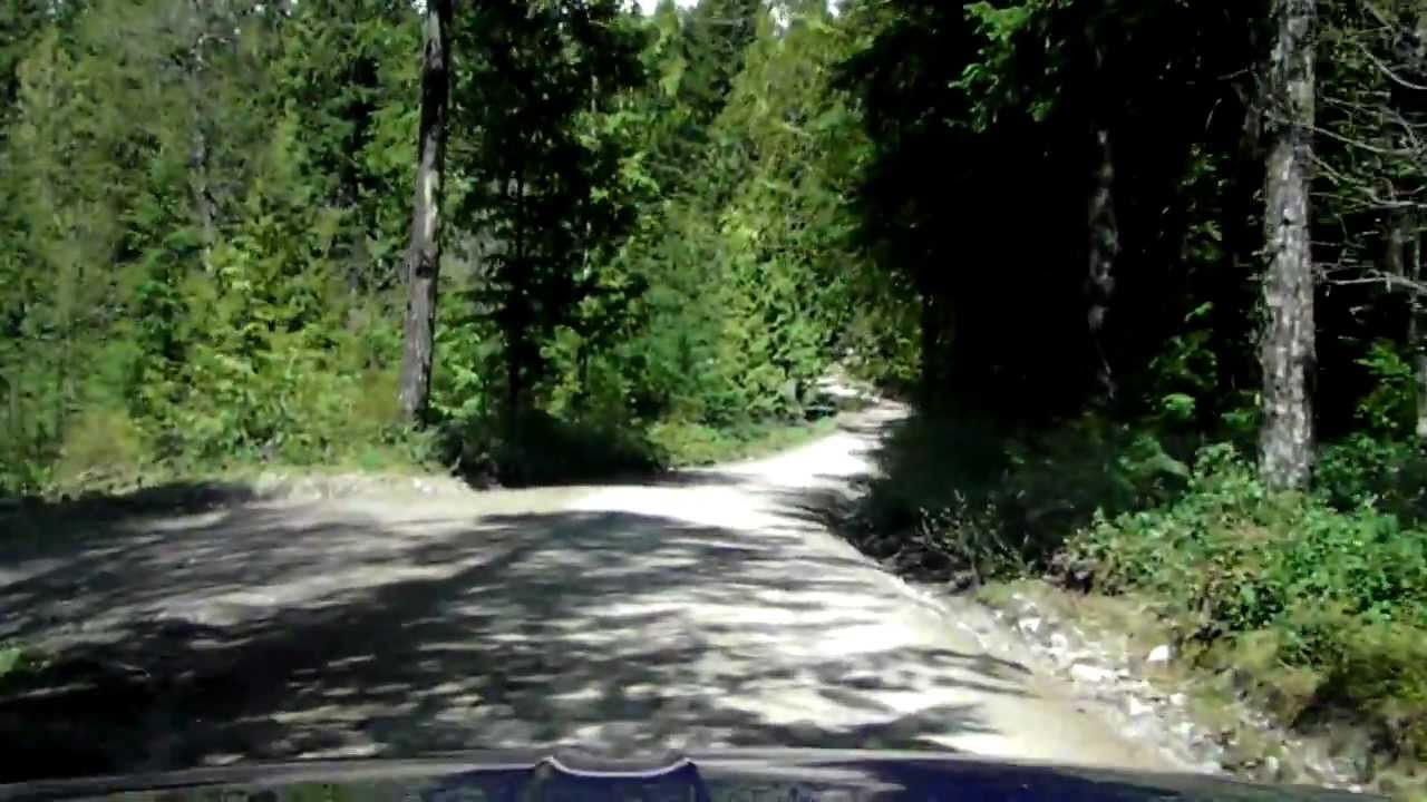 Bigfoot Sighting Area 2011 Driving from Mt Prevost. Vancouver Island ...