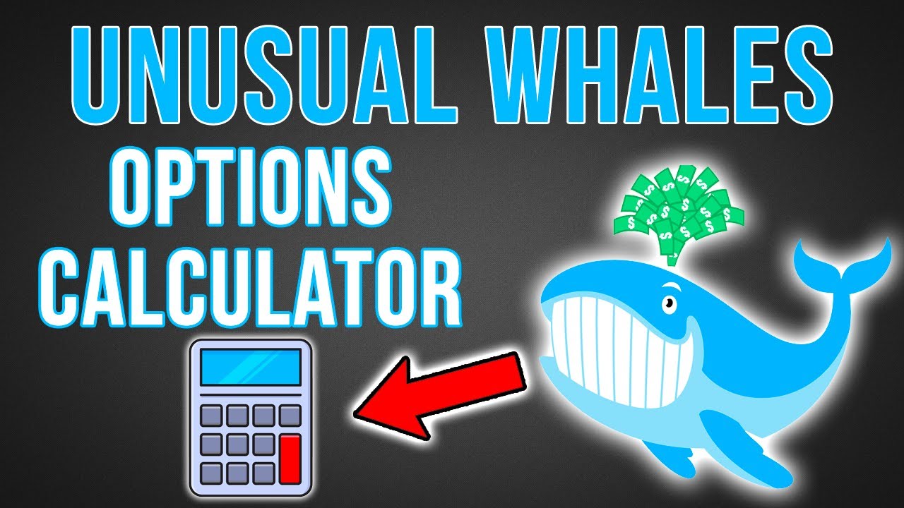 Unusual Whales Options Calculator Tutorial - YouTube