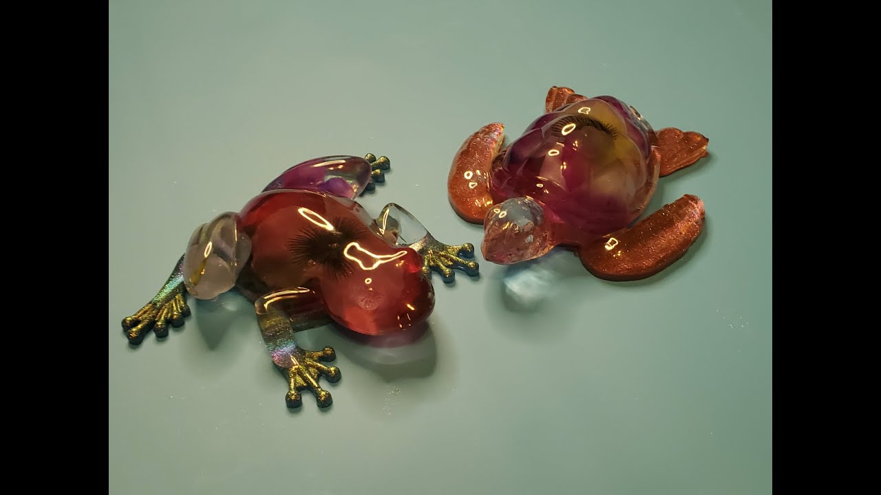 Flower Turtle and Frog - YouTube