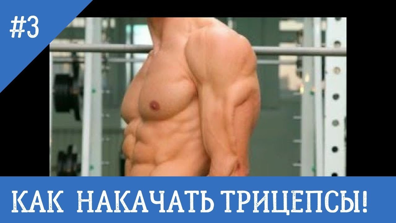 Archo Morris. Как Накачать Трицепсы! - YouTube