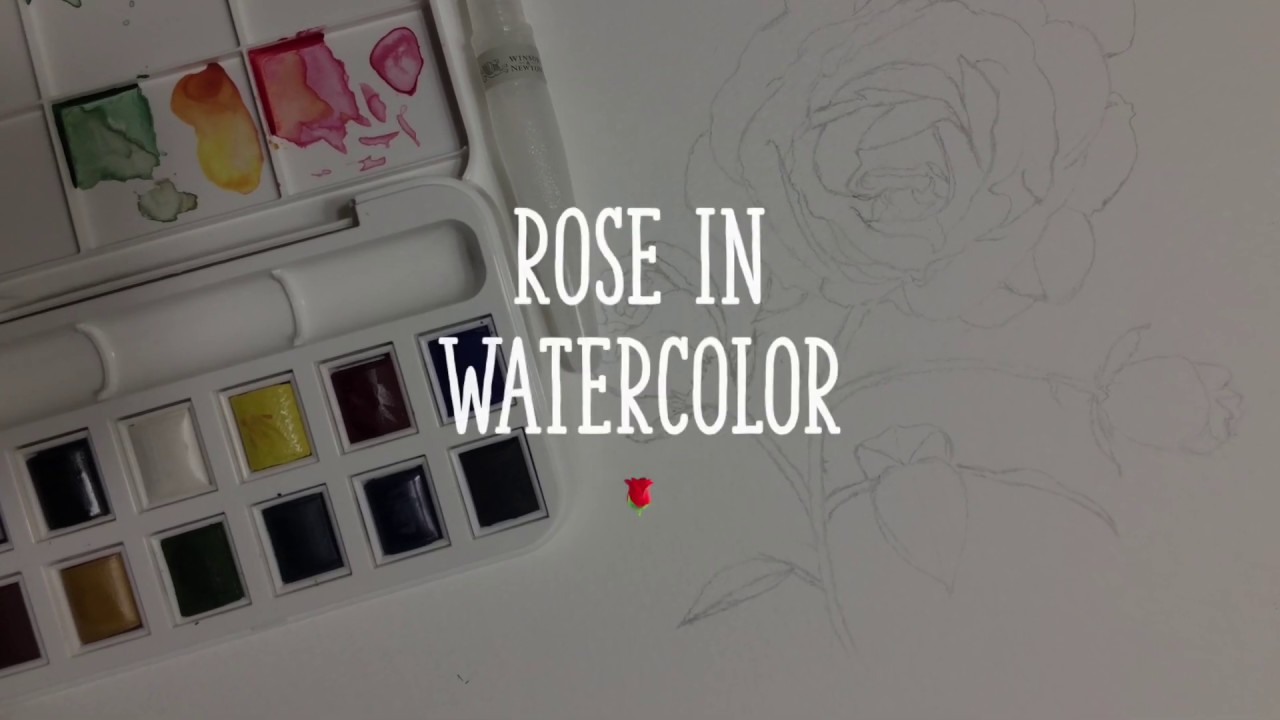 Rose in WaterColor!!! - YouTube