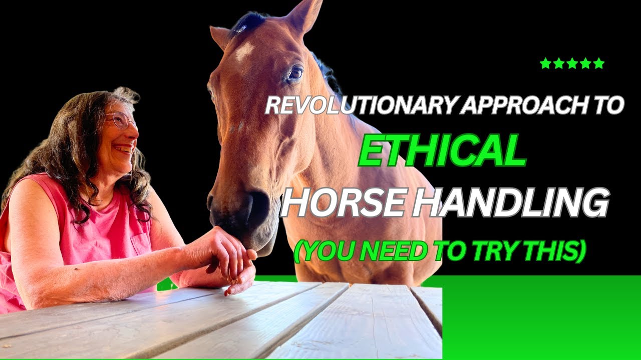 Revolutionary Approach to Ethical Horse Handling (You Need to Try This ...