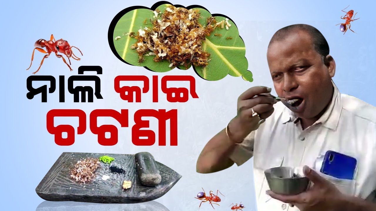 Locals Demand Commercialization of Odisha's 'Kai Chutney' Made from Red ...