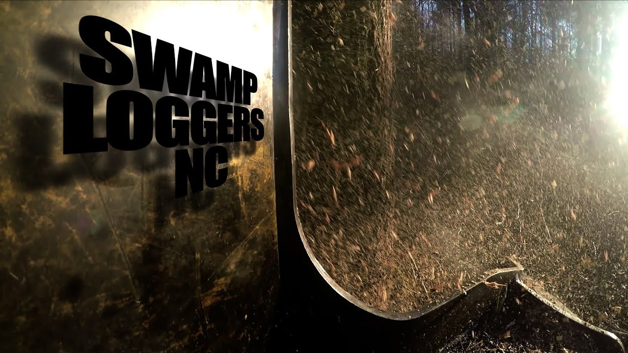 SWAMP LOGGERS NC "No Relief in Sight." - YouTube