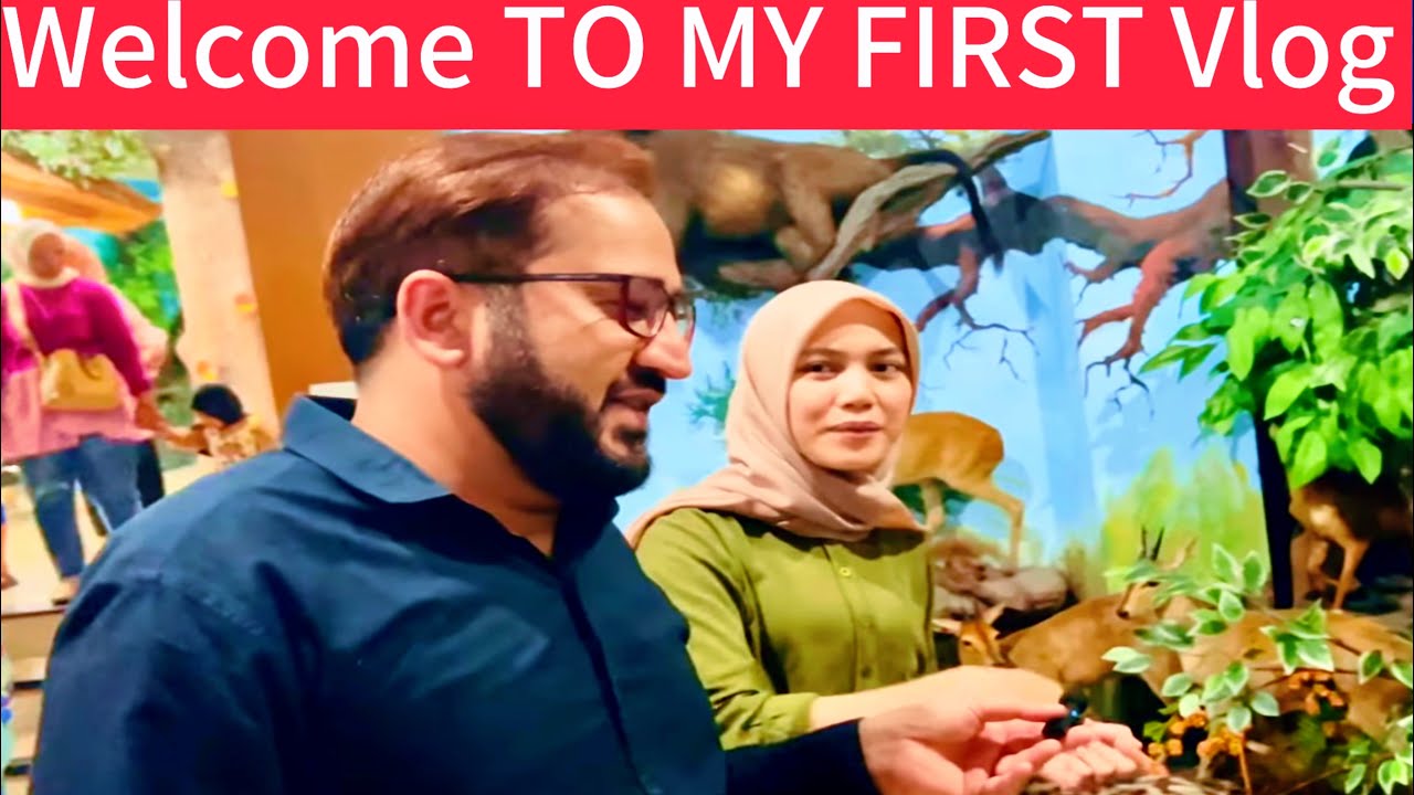 Rahmat wildlife museum medan indonesia🇮🇩Rahmat Gallery - YouTube