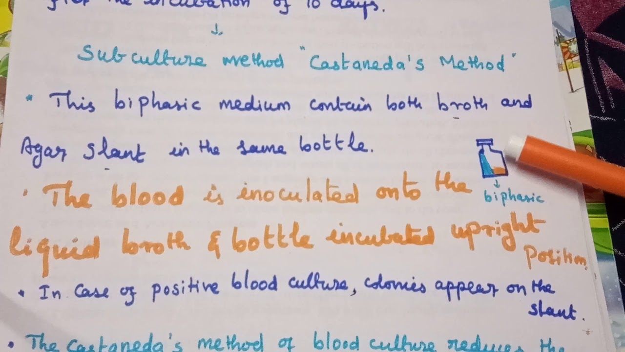 Castaneda's Method - YouTube