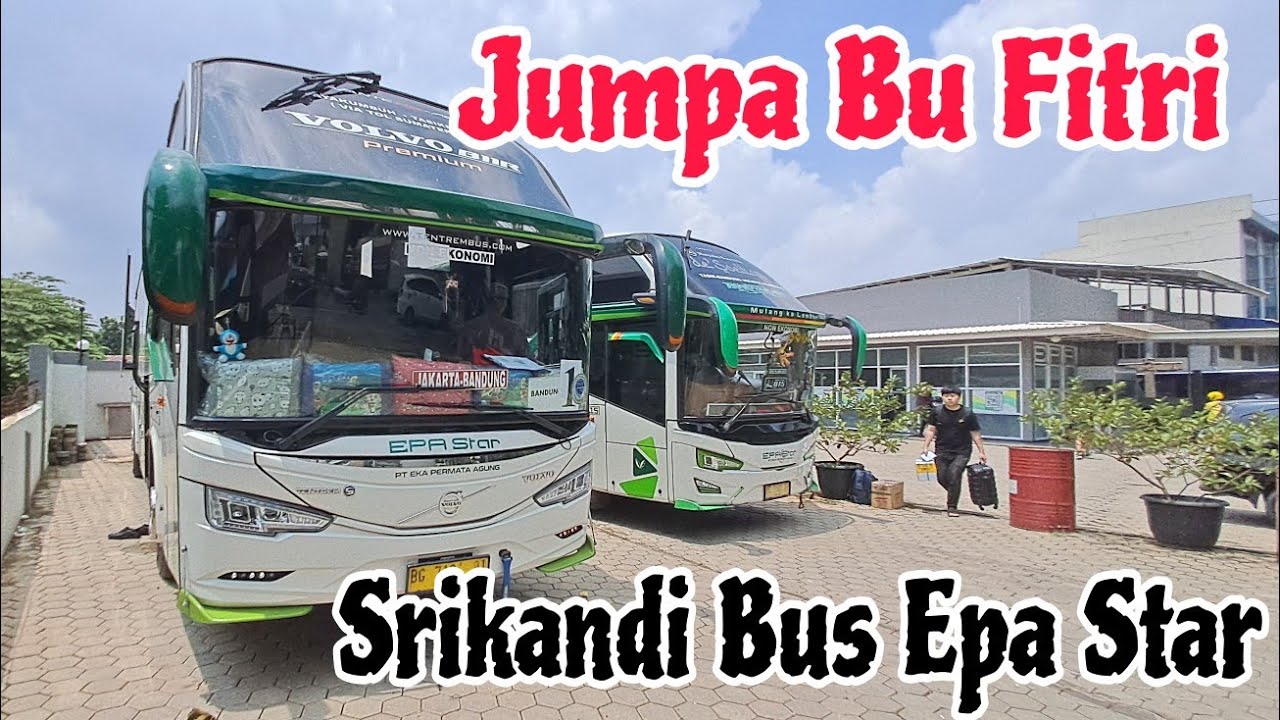 Srikandi Bus Epa Star. .Bu Fitri👍Sasis Premium..Penumpang Luar Biasa ...