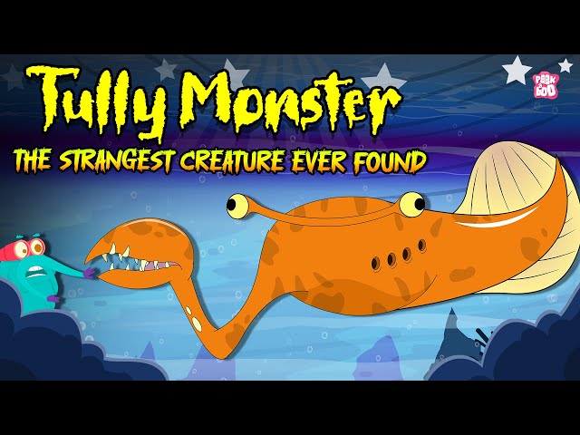 Strangest Creature Ever Found - Tully Monster | Mystery of ...