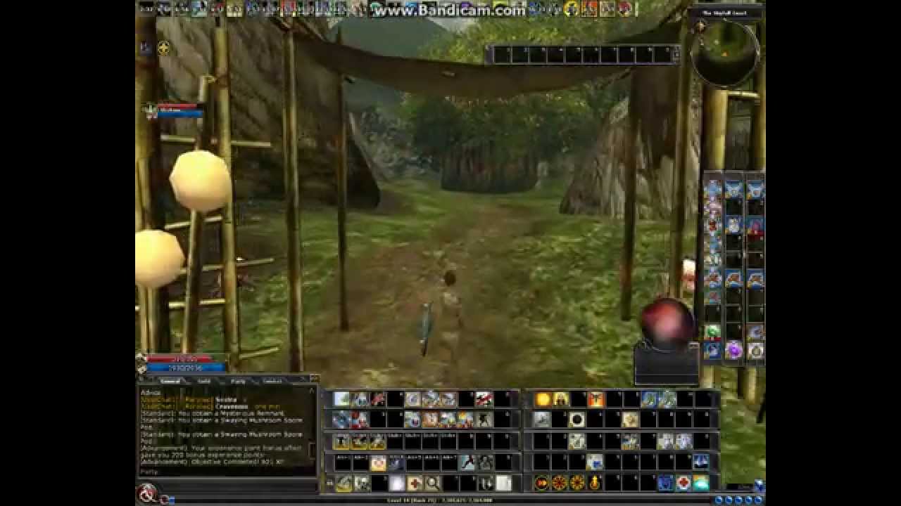 DDO - Favored Soul - Diplomatic impunity - YouTube