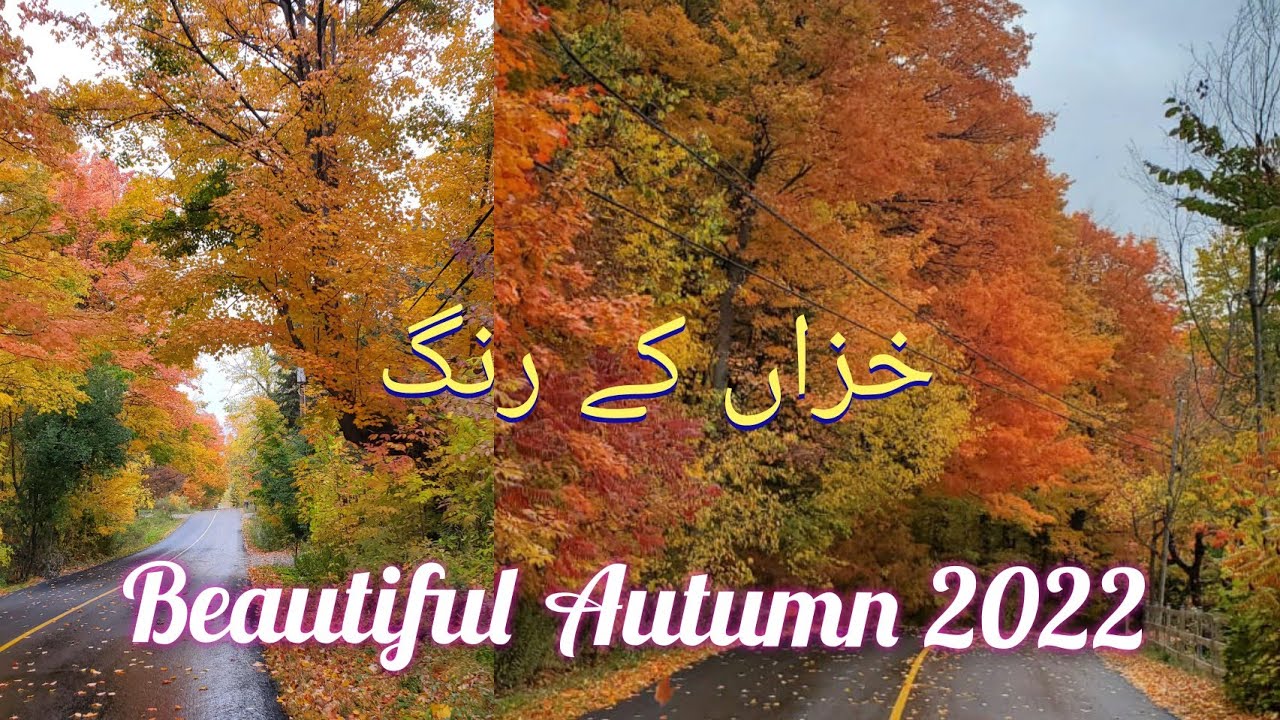 Autumn/Fall Nature Scenes in Ontario🍁🍂 | Beautiful Autumn Colors ...