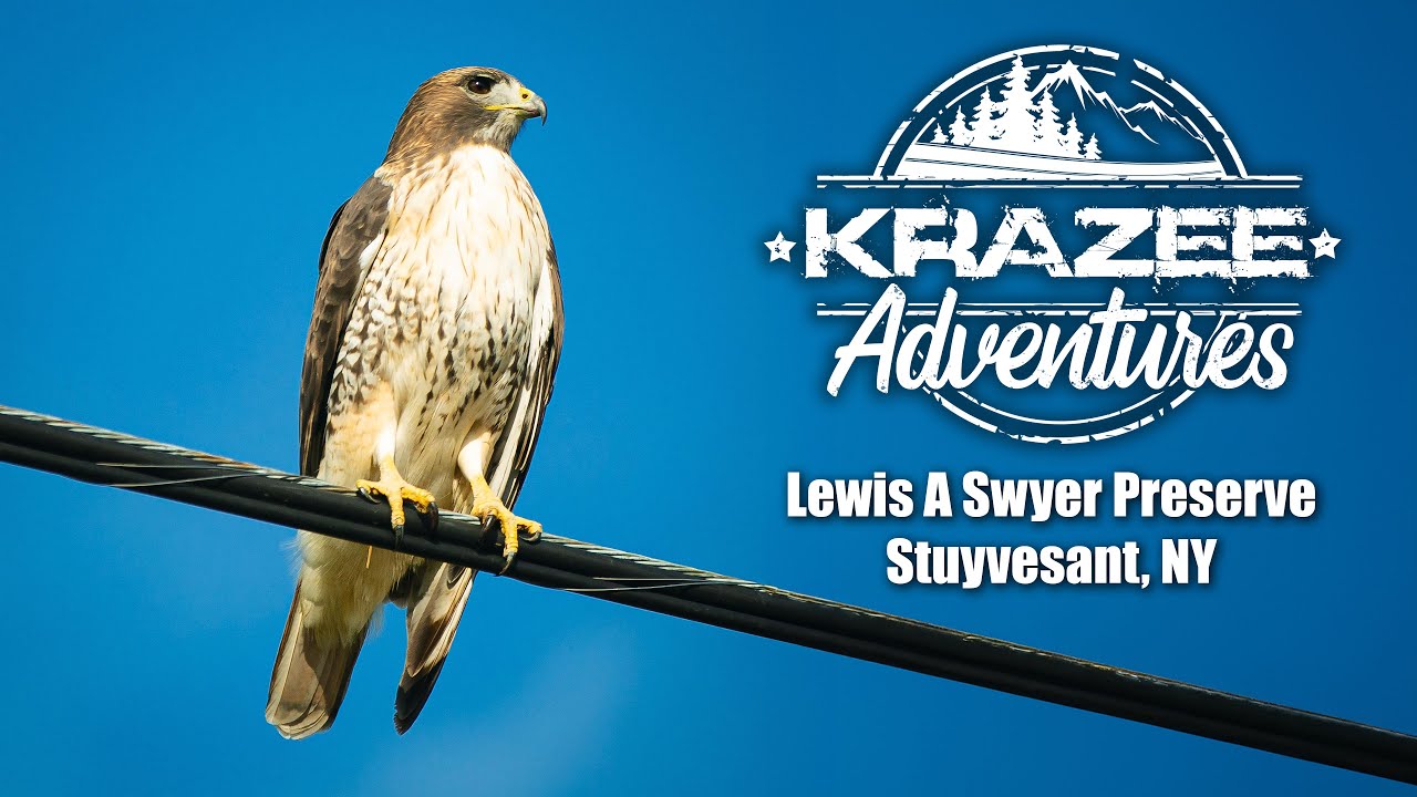 Krazee Adventures - Lewis A. Swyer Preserve, Stuyvesant, NY - YouTube