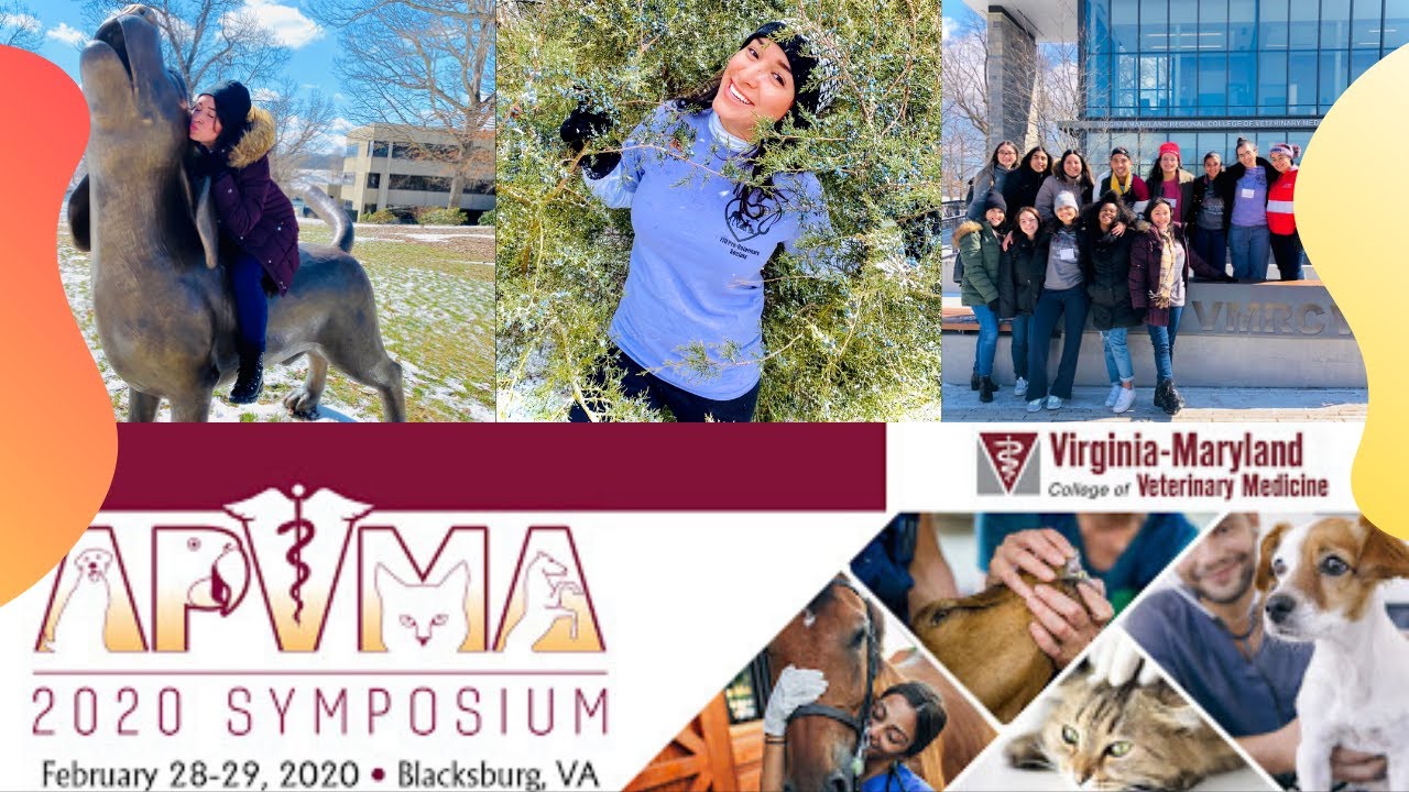 APVMA 2020 Symposium - YouTube