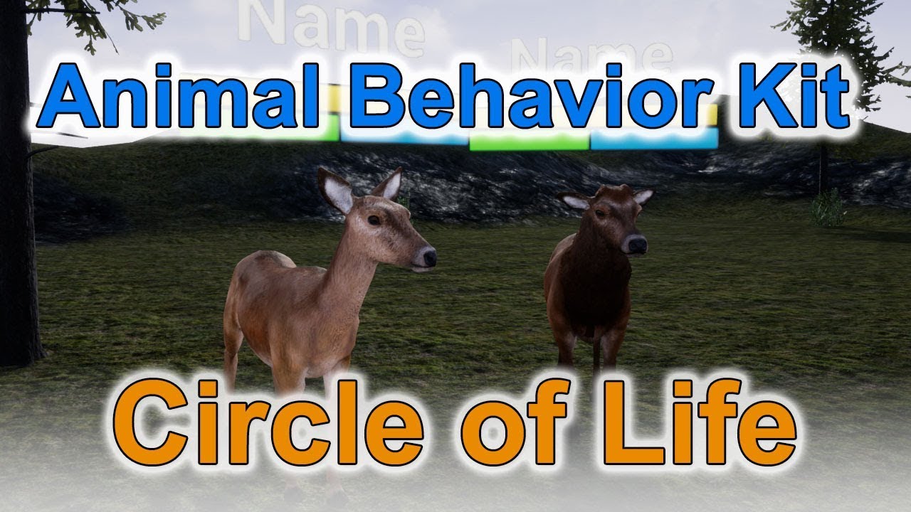 Animal Behavior Kit - Circle Of Life - YouTube