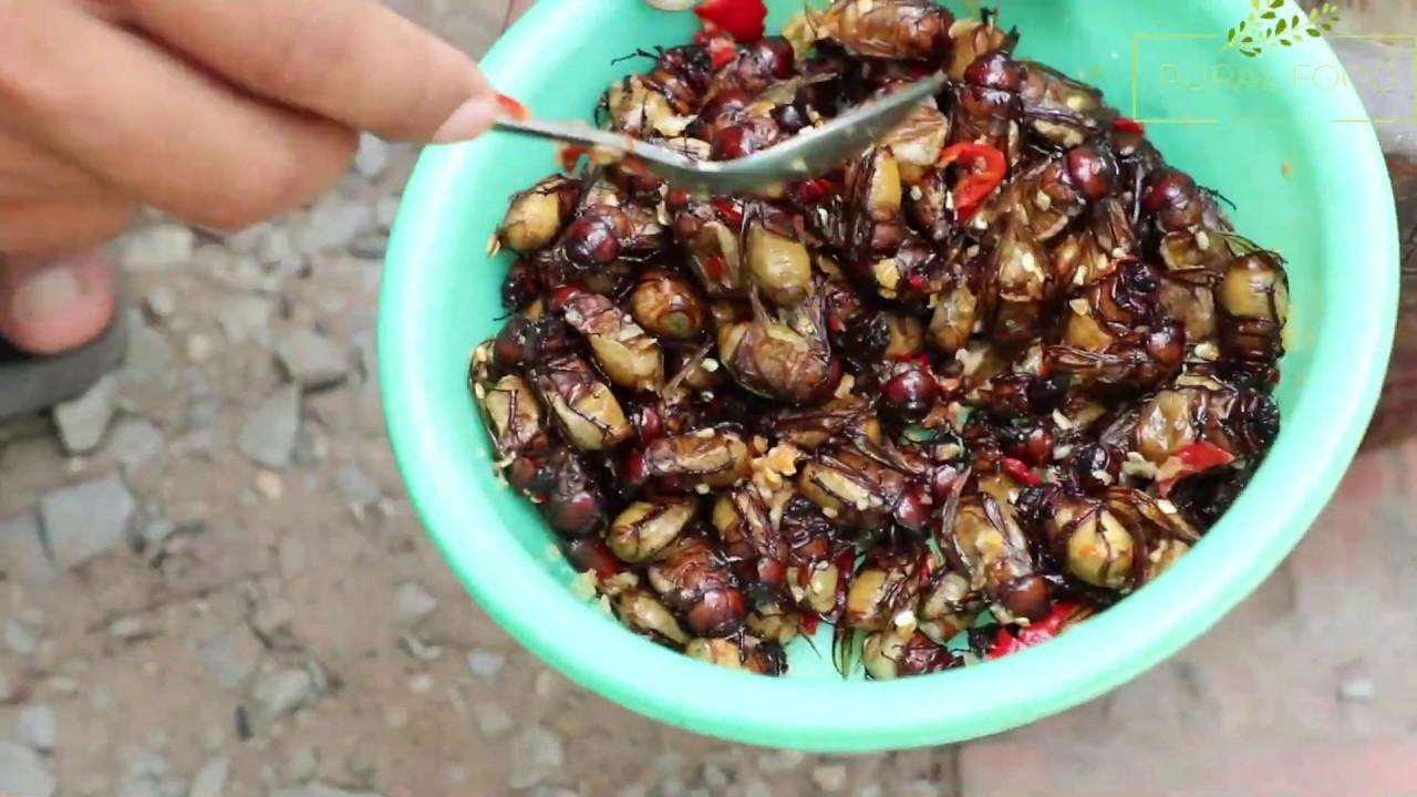 Natural Insects Cooking Recipe with Knhong - Rural Food Survival - YouTube