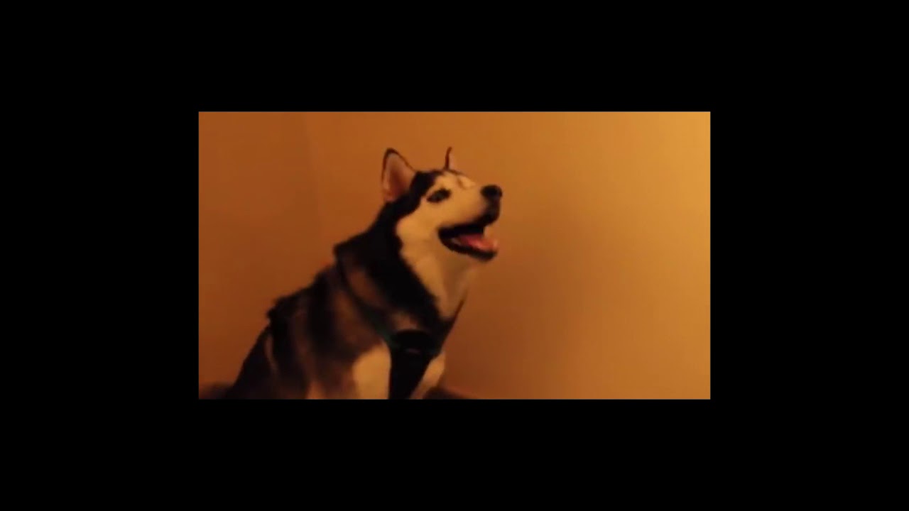 Some EarRape Memes #1 l EarRape Studio - YouTube