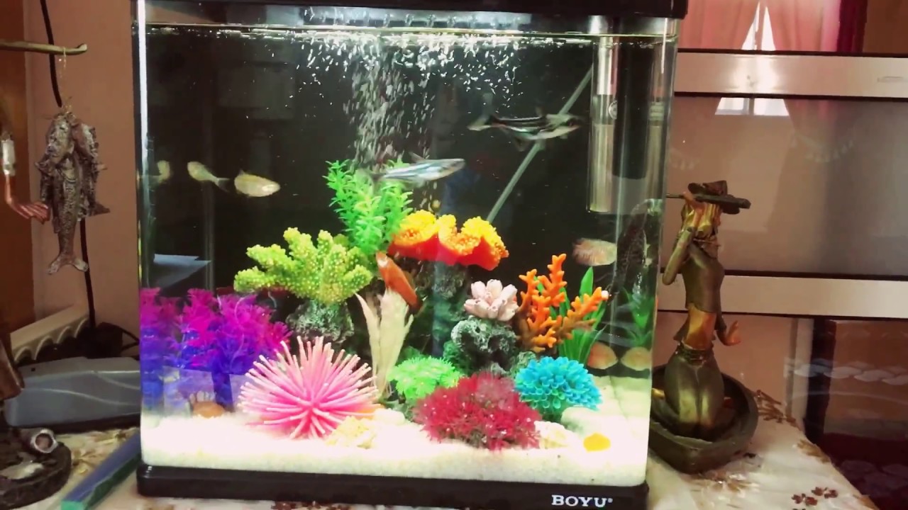 Aquarium design Boyu MR-418 - YouTube