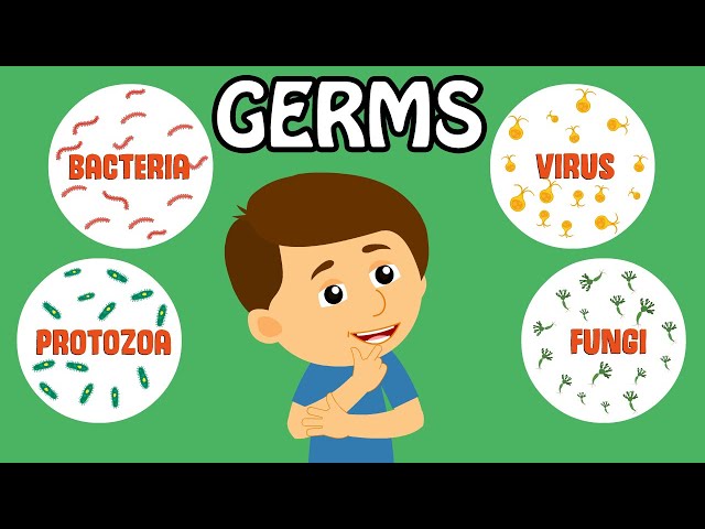 Germ Lesson For Kindergarten Germ Activity For Kids Free Worksheets