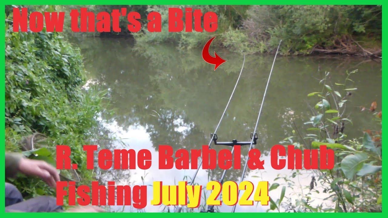 River Teme Barbel and Chub Fishing July 2024 🎣 - YouTube