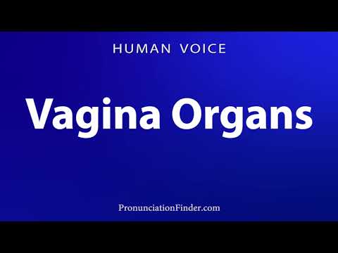 How To Pronounce Vagina Organs