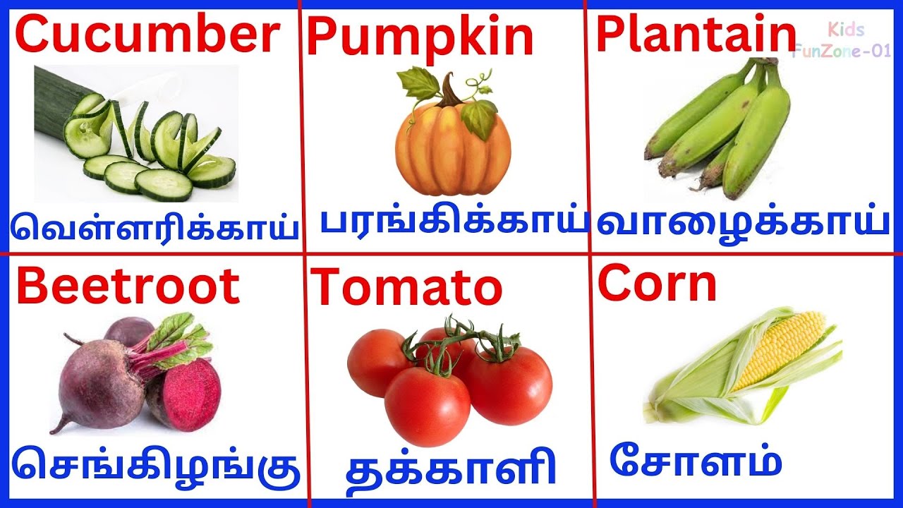 Vegetables Name| காய்கறிகள் | Learn Vegetables Name in Tamil and ...